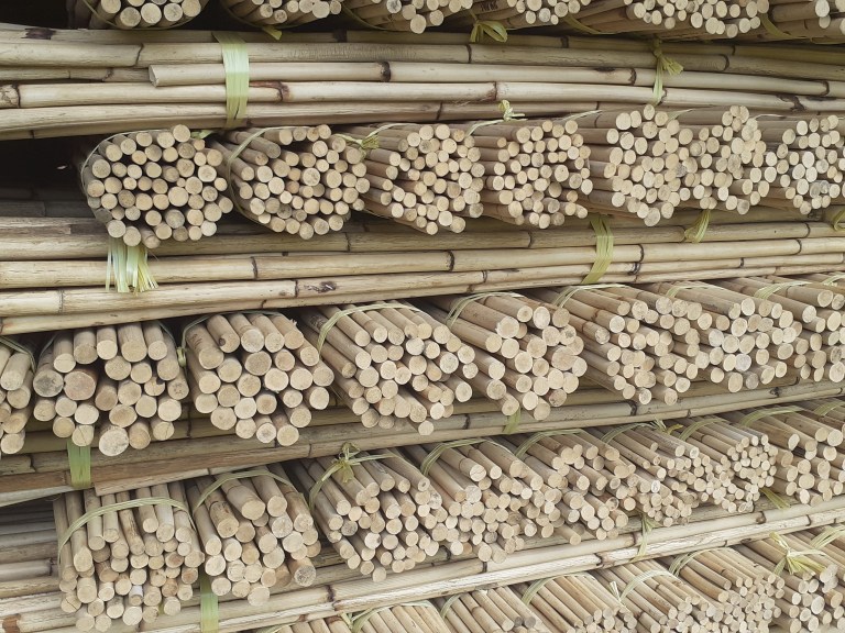 RATTAN RAW PHILIPPINES – SUPPLIER OF RATTAN RAW MATERIAL, WATER ...