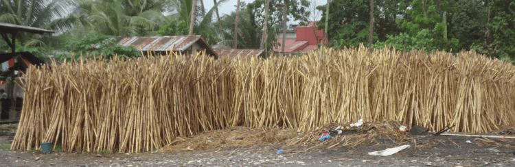 RATTAN RAW PHILIPPINES – SUPPLIER OF RATTAN RAW MATERIAL, WATER ...