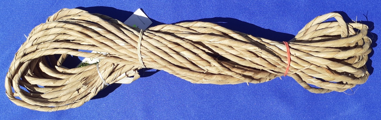 LAMPAKANAY (NARROW LEAF CATTAIL) – RATTAN RAW PHILIPPINES