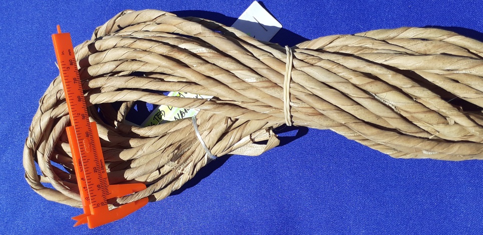 LAMPAKANAY (NARROW LEAF CATTAIL) – RATTAN RAW PHILIPPINES