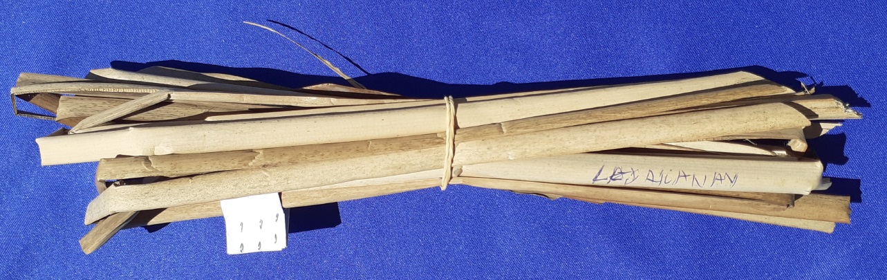 LAMPAKANAY (NARROW LEAF CATTAIL) – RATTAN RAW PHILIPPINES