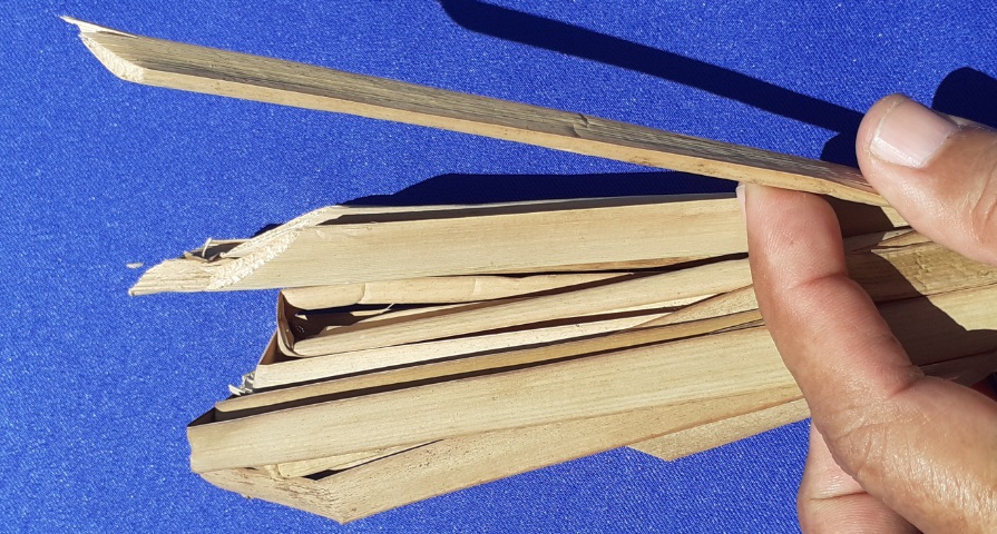 LAMPAKANAY (NARROW LEAF CATTAIL) – RATTAN RAW PHILIPPINES